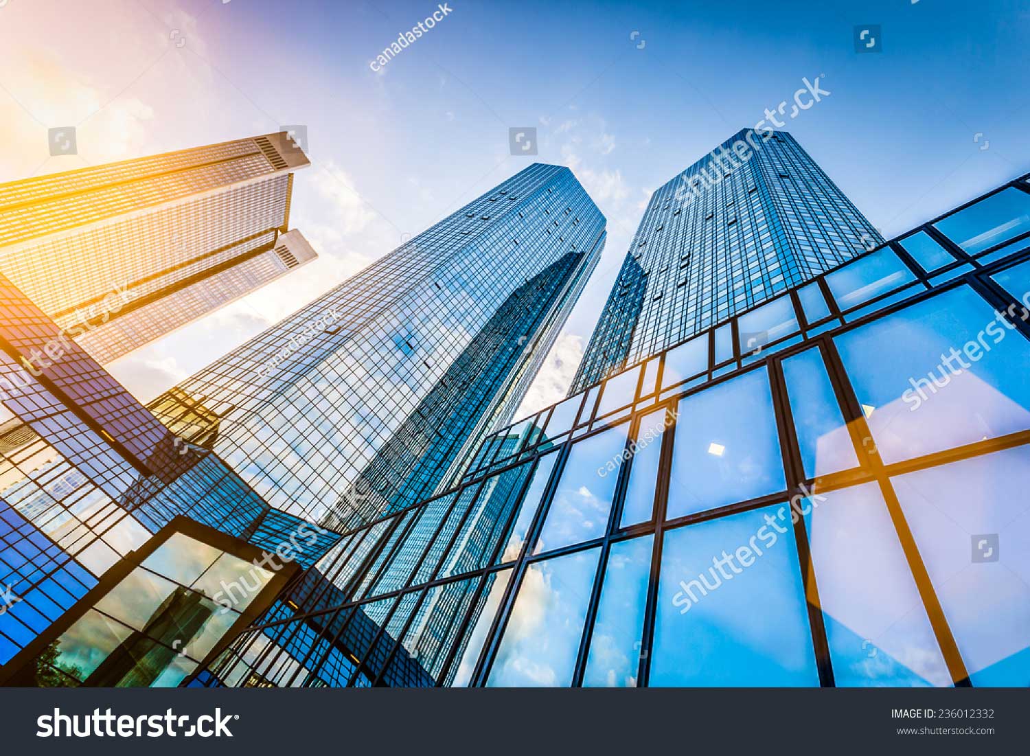 Bet the Company - The Welsh Law Firm, PLLC